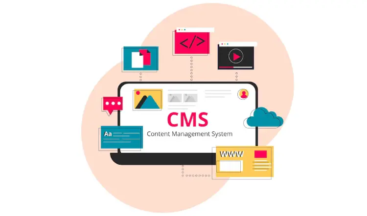Content Management System (CMS) Integration | White Bunnie
